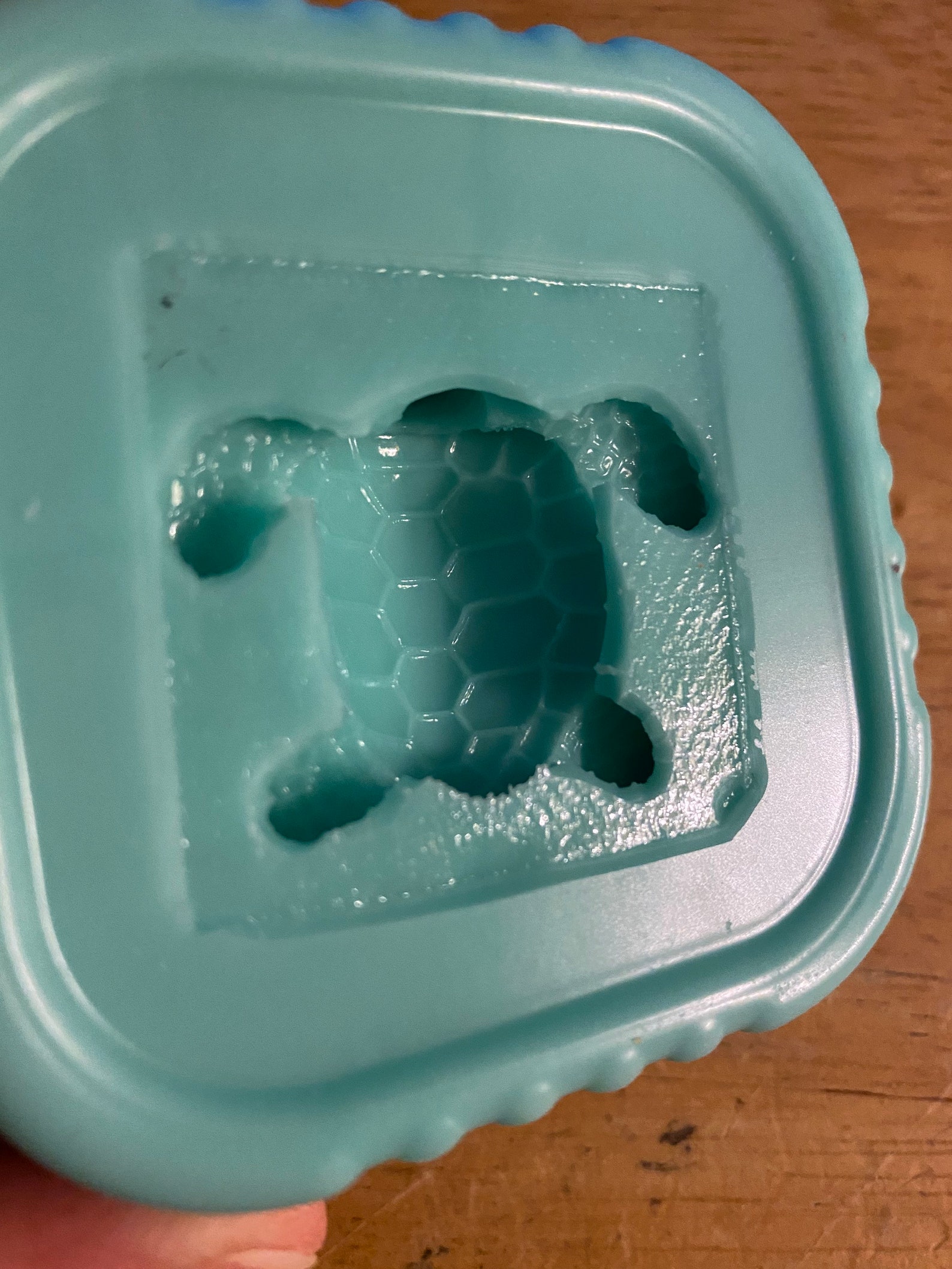 1 1/2 Inch Small Detailed Turtle Mold - Etsy