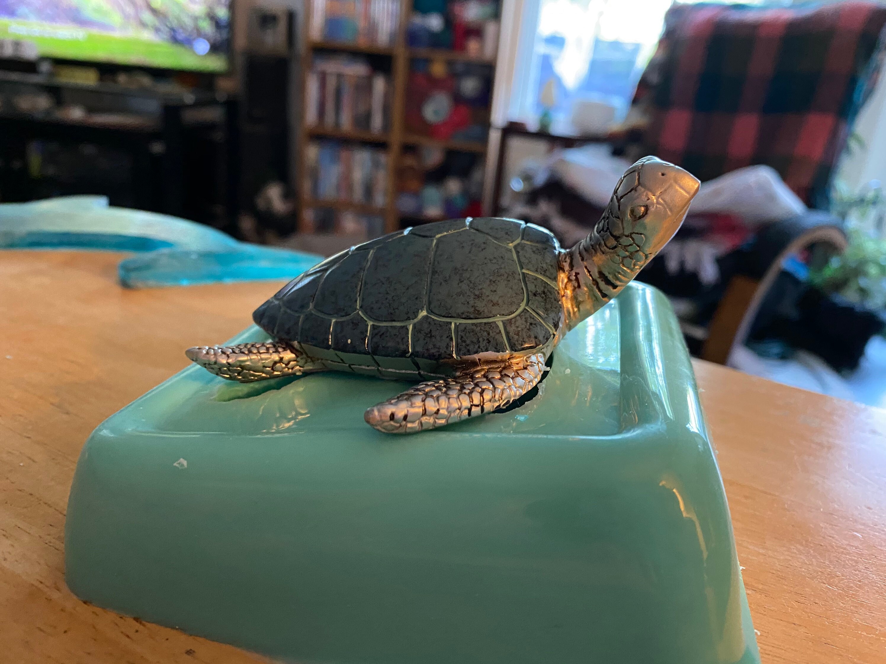 Sea Turtle Mold - Etsy Canada