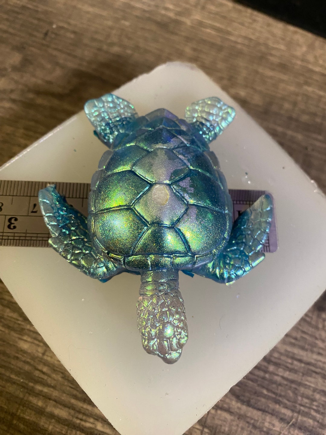 2 1/2 X 3 Turtle Mold - Etsy