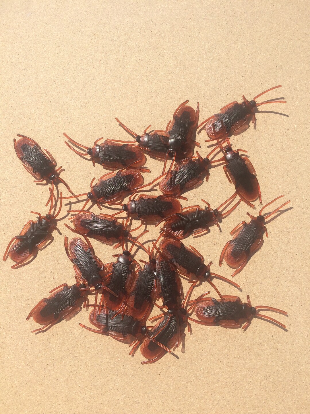 12 Lifelike Plastic Cockroaches - Etsy