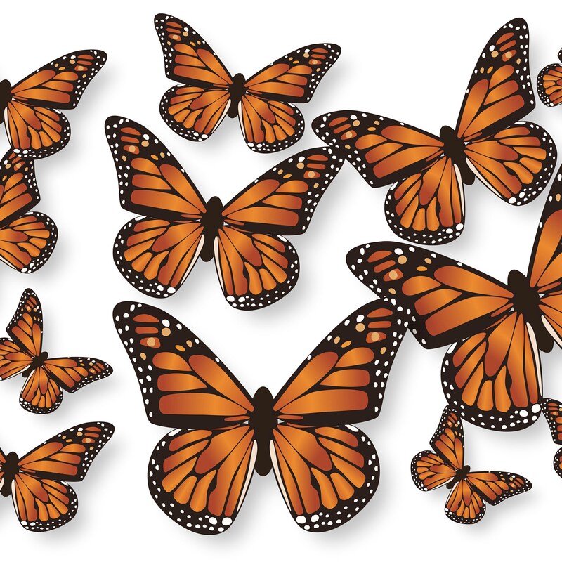 Butterfly Bouquet - Etsy