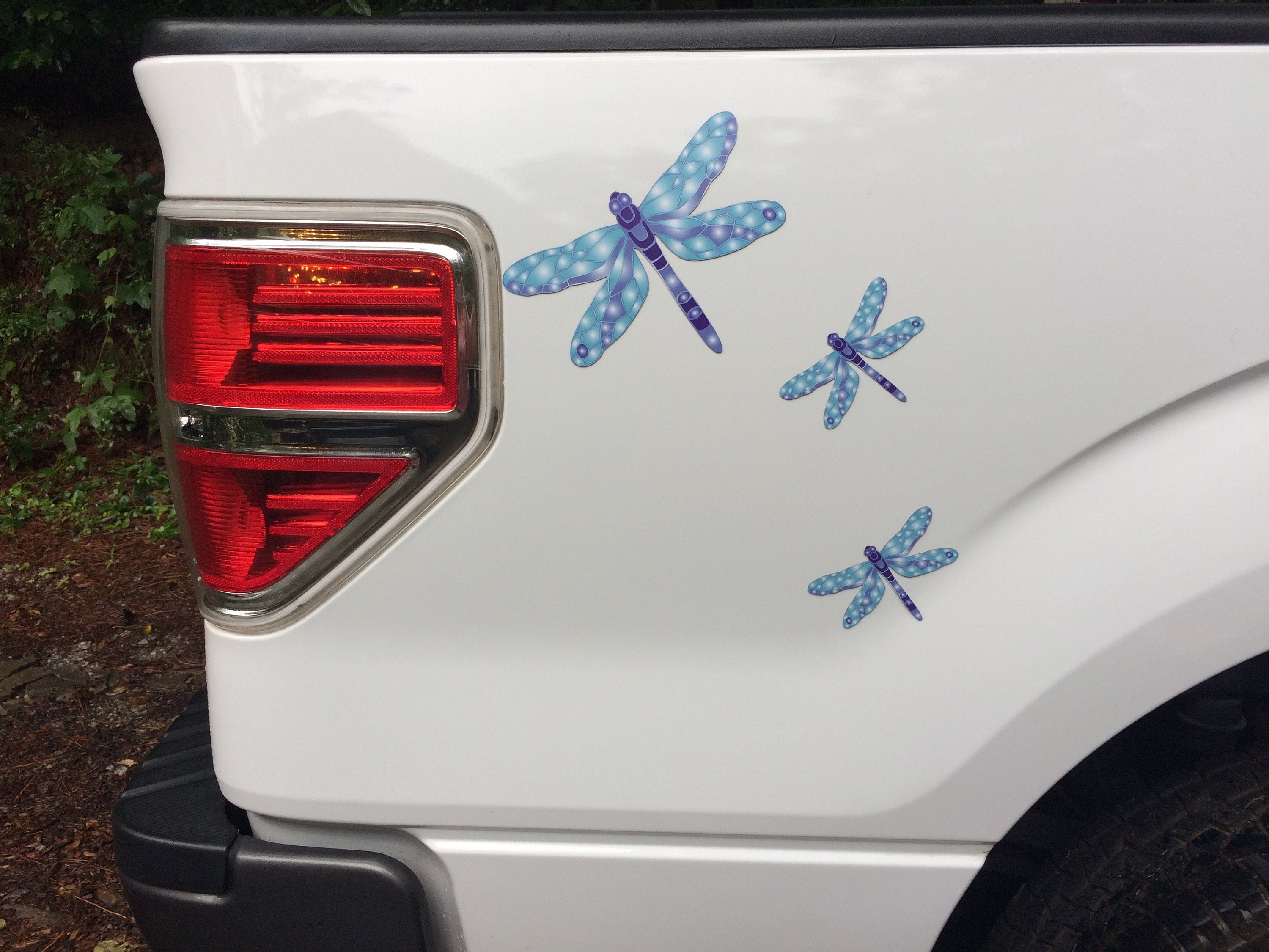 Dragonfly Car Magnets - Etsy