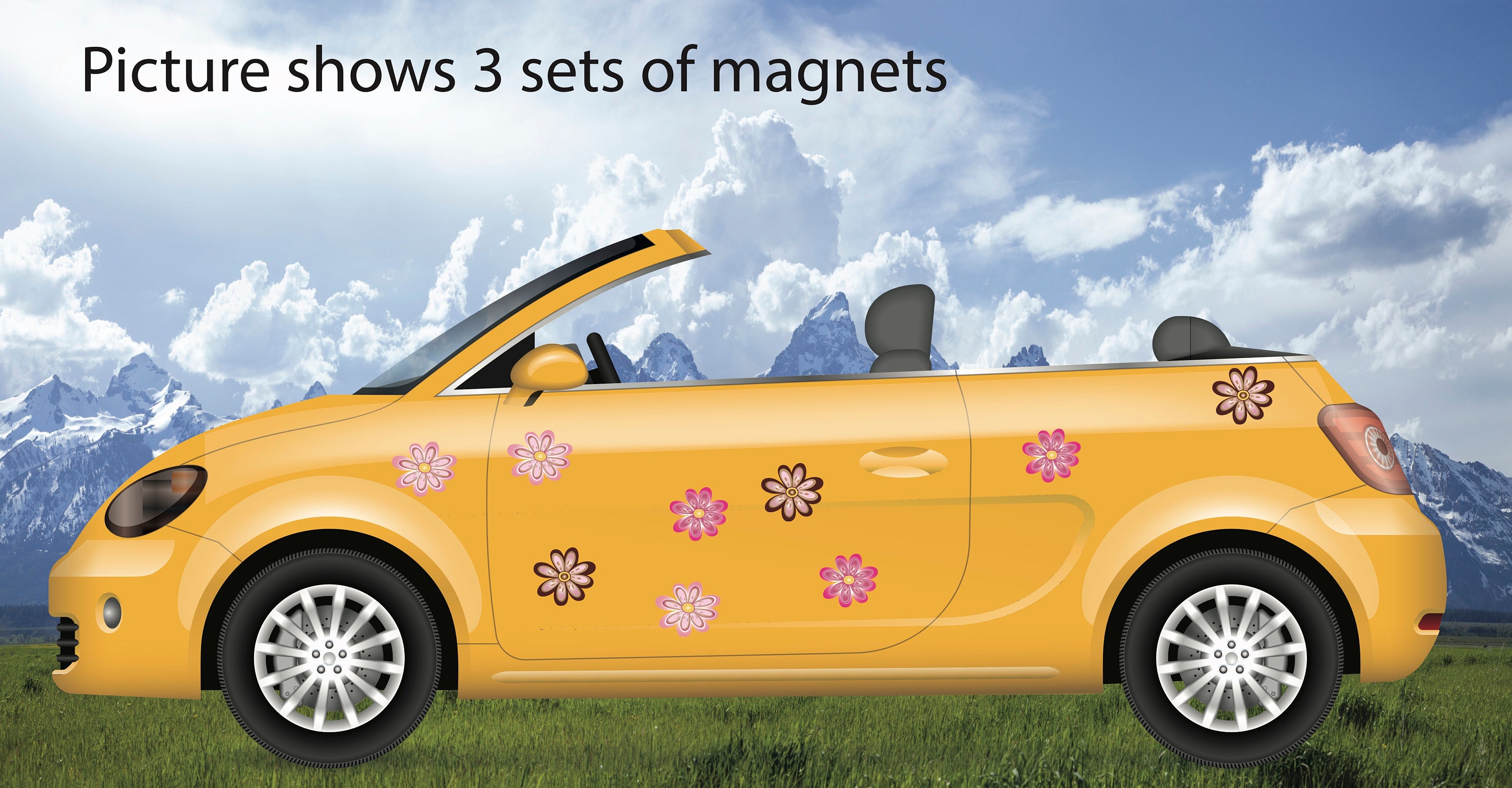 Flower Power Car Magnets in Pink & Brown - Etsy