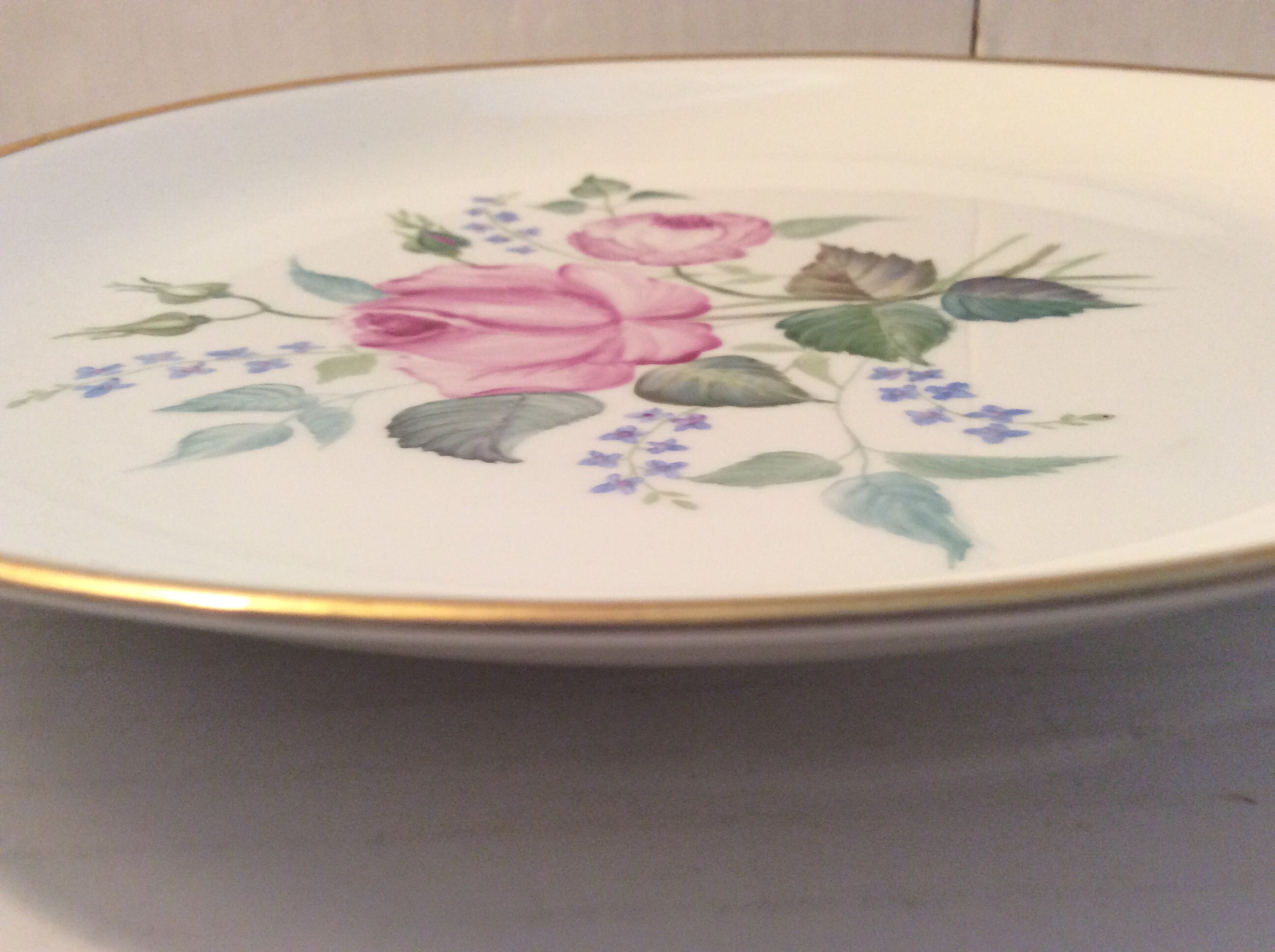 HAND PAINTED Rare Vintage Handgemalt Porcelain Plate with Signature ...