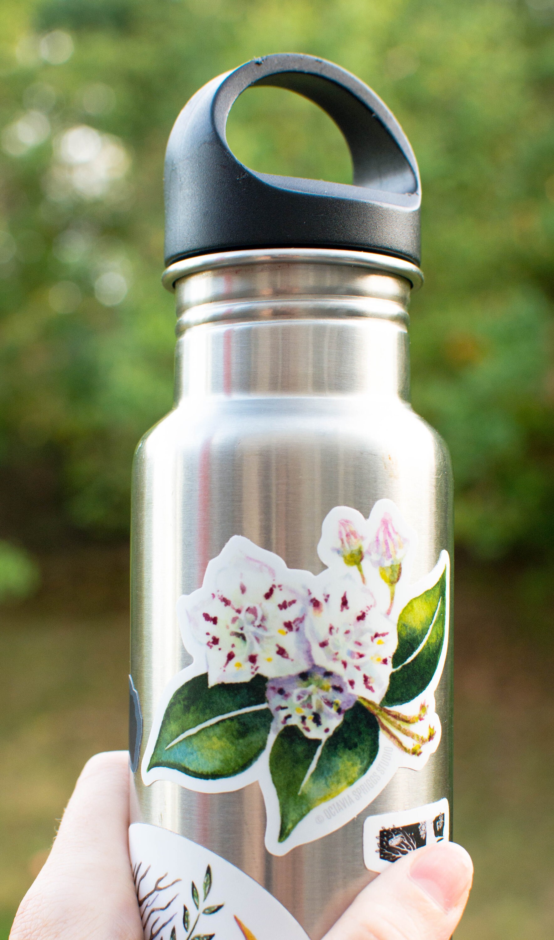 Mountain Laurel Sticker Vinyl Flower sticker White Laurel | Etsy