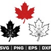 Maple Leaf SVG, Split Maple Leaf Name Frame, Vector Maple Leaf Clipart ...