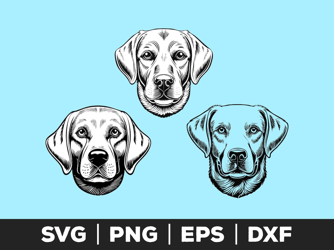 Lab Dog Face Svg File for Cricut and Silhouette, Labrador Retriever Svg ...