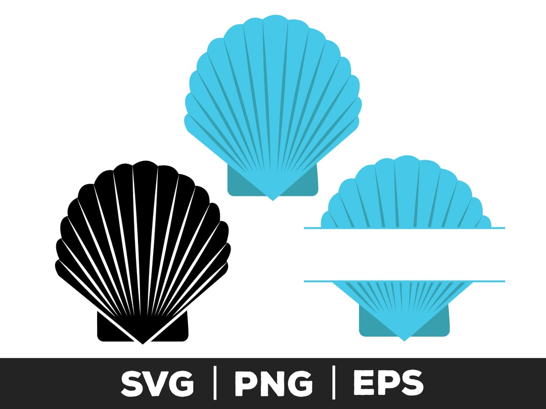 Seashell Svg, Png, Eps, Sea Shell Clipart, Seashell Cut Files Sea Shell ...