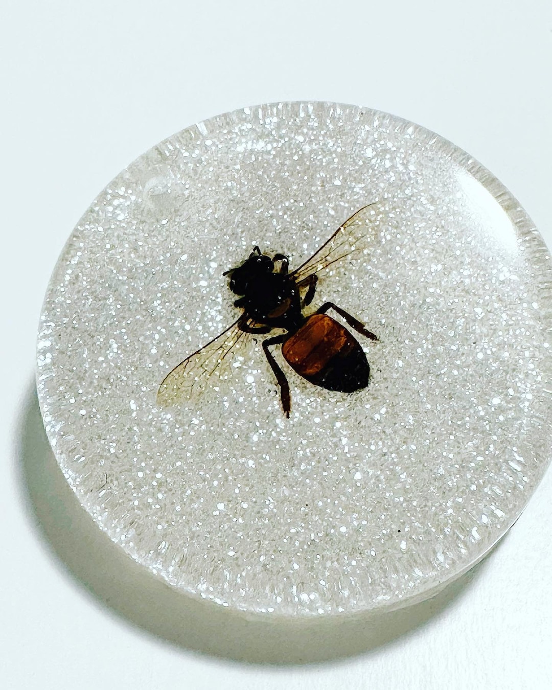 Majestic Bee Epoxy Resin Pendant - Etsy