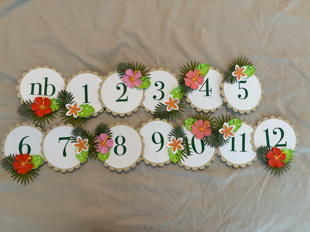 Aloha Hawaiian First Birthday Theme Highchair Skirt Banner, Monthly ...