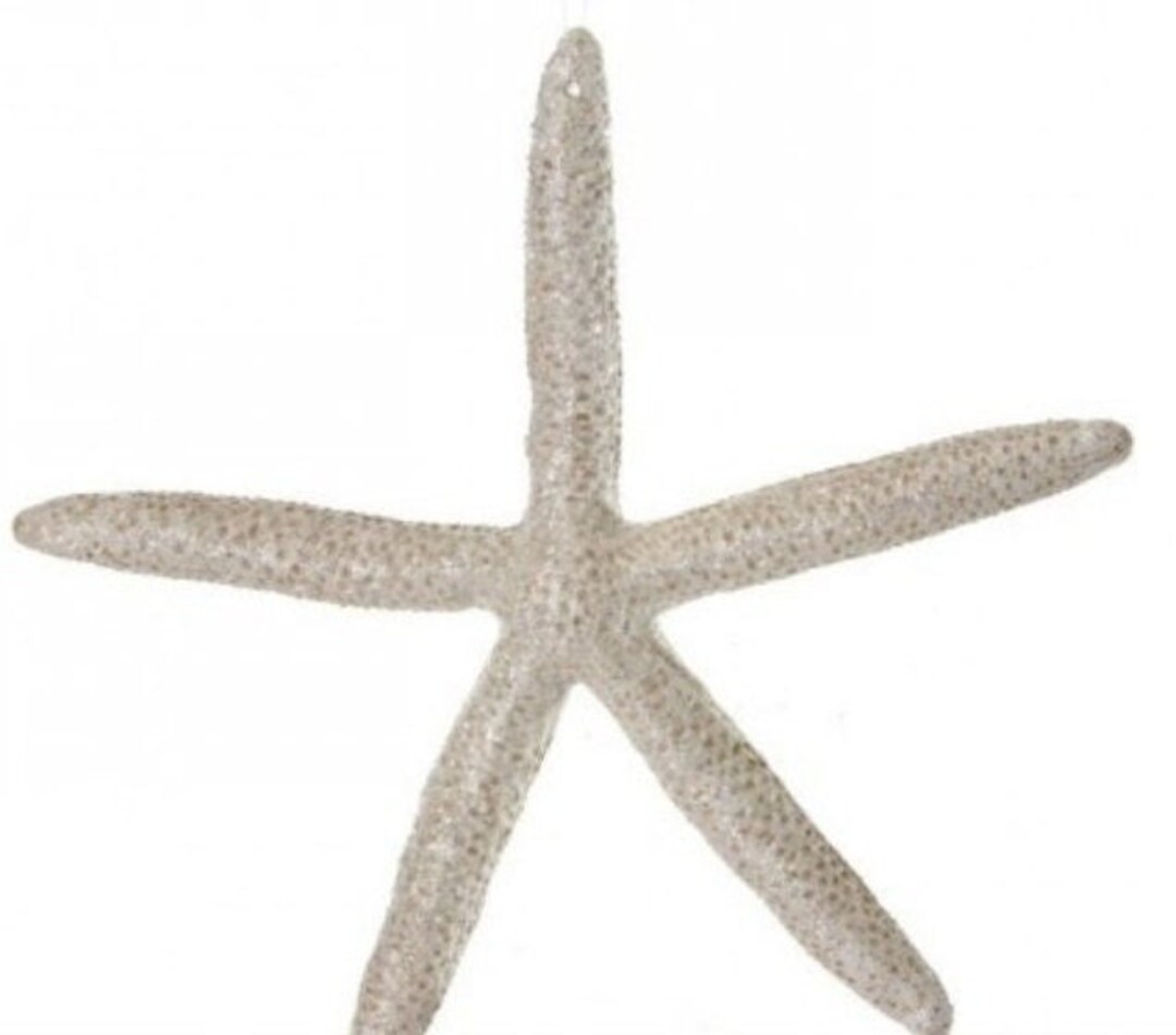 6 Inch Plastic Starfish Leggy Starfish Frosted Starfish Ornament Beach ...