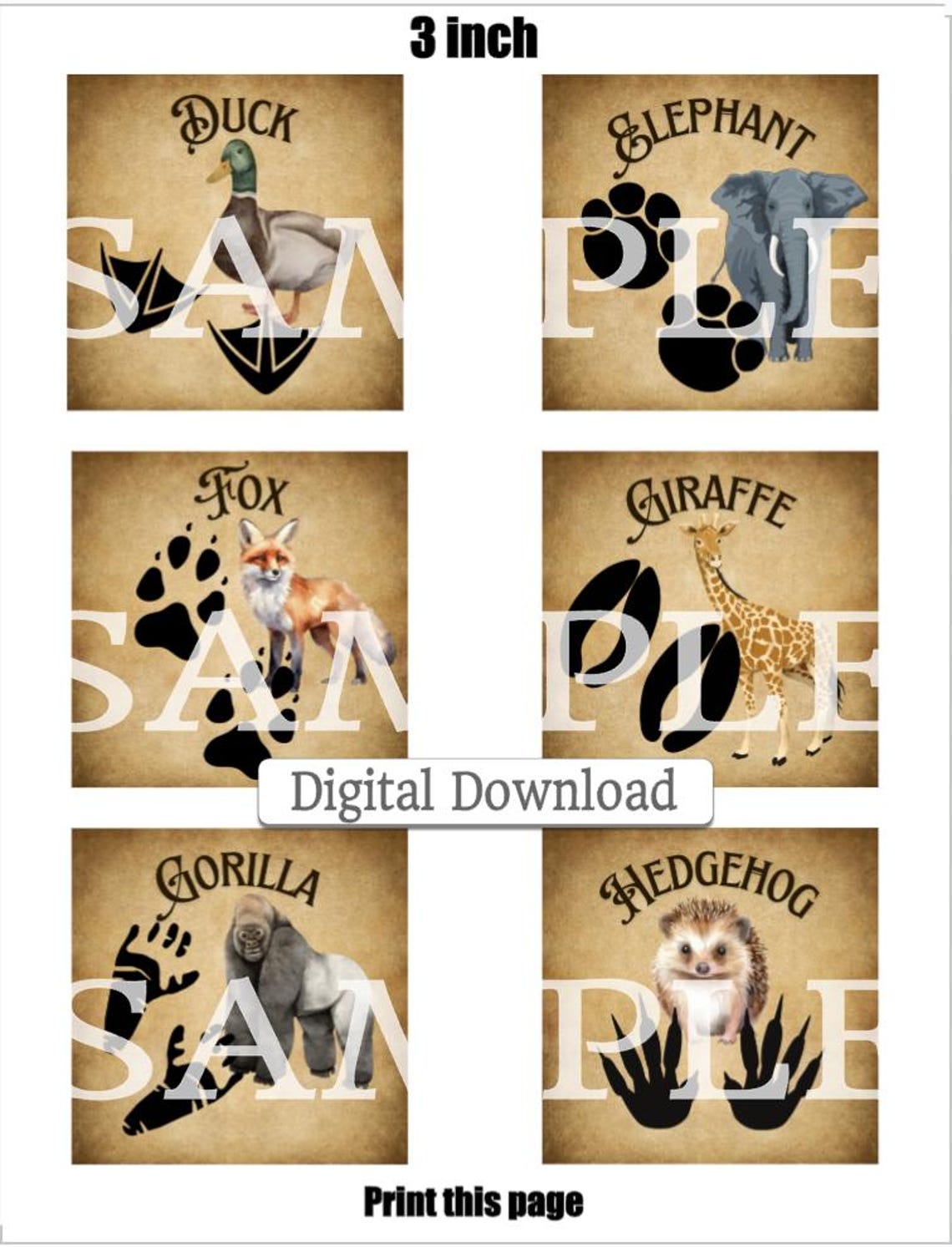 42 Animal Track Identification Task Cards - Squares and Circles ...
