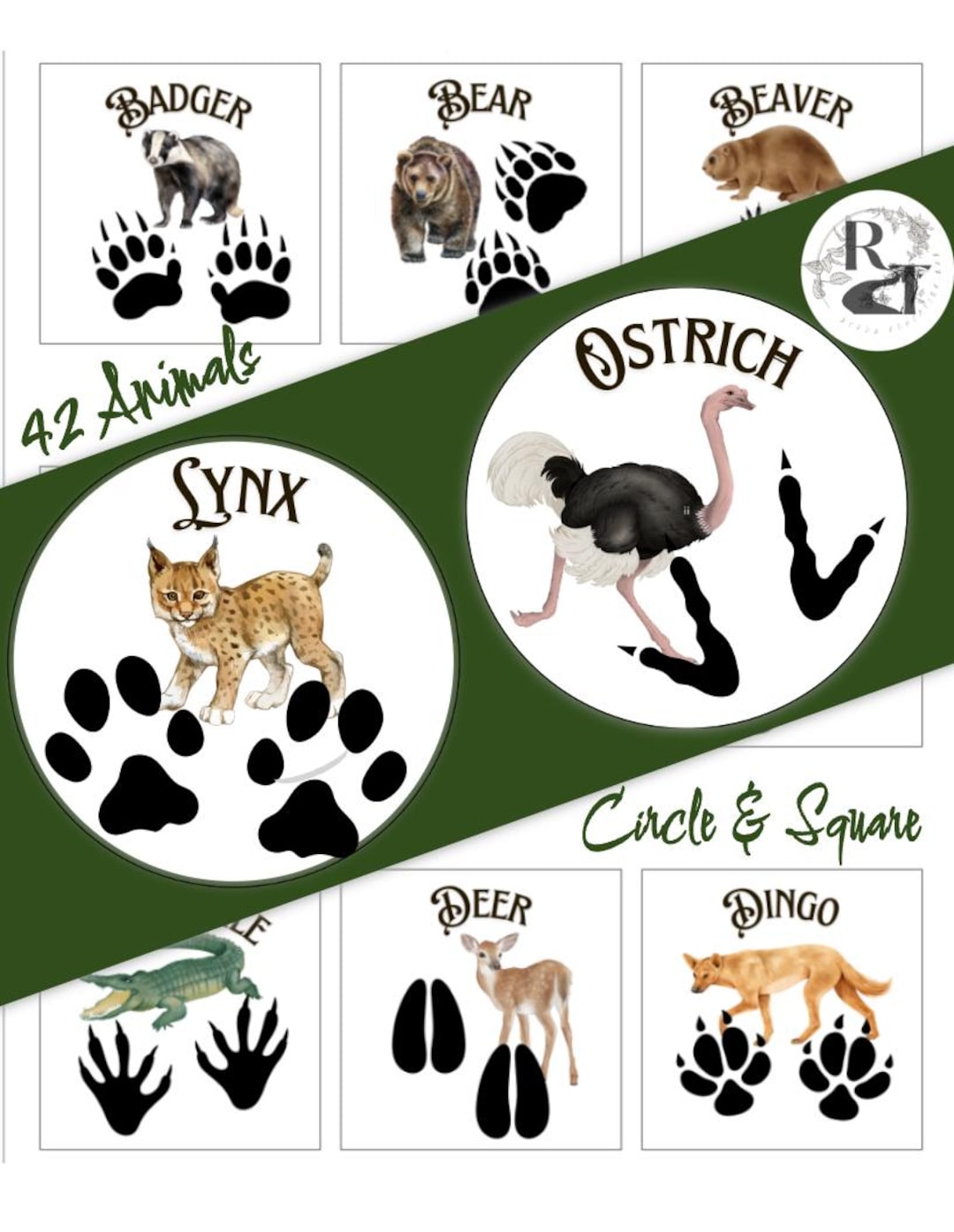 42 Animal Track Identification Task Cards - Squares and Circles ...