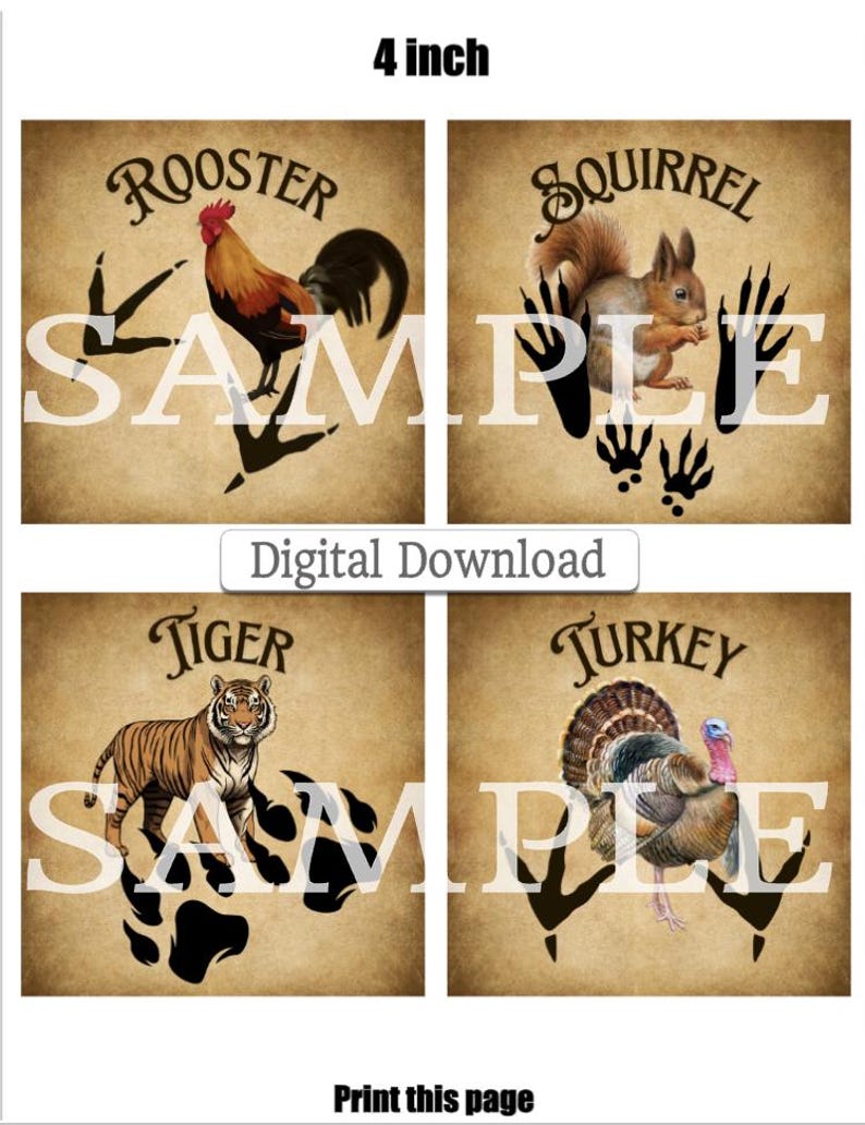 Animal Track Identification Cards – Nature Education Printable (digital ...