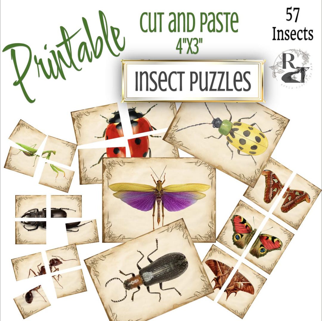 57 Printable Insect Puzzle Task Cards , 3 Versions , Nature, Home ...