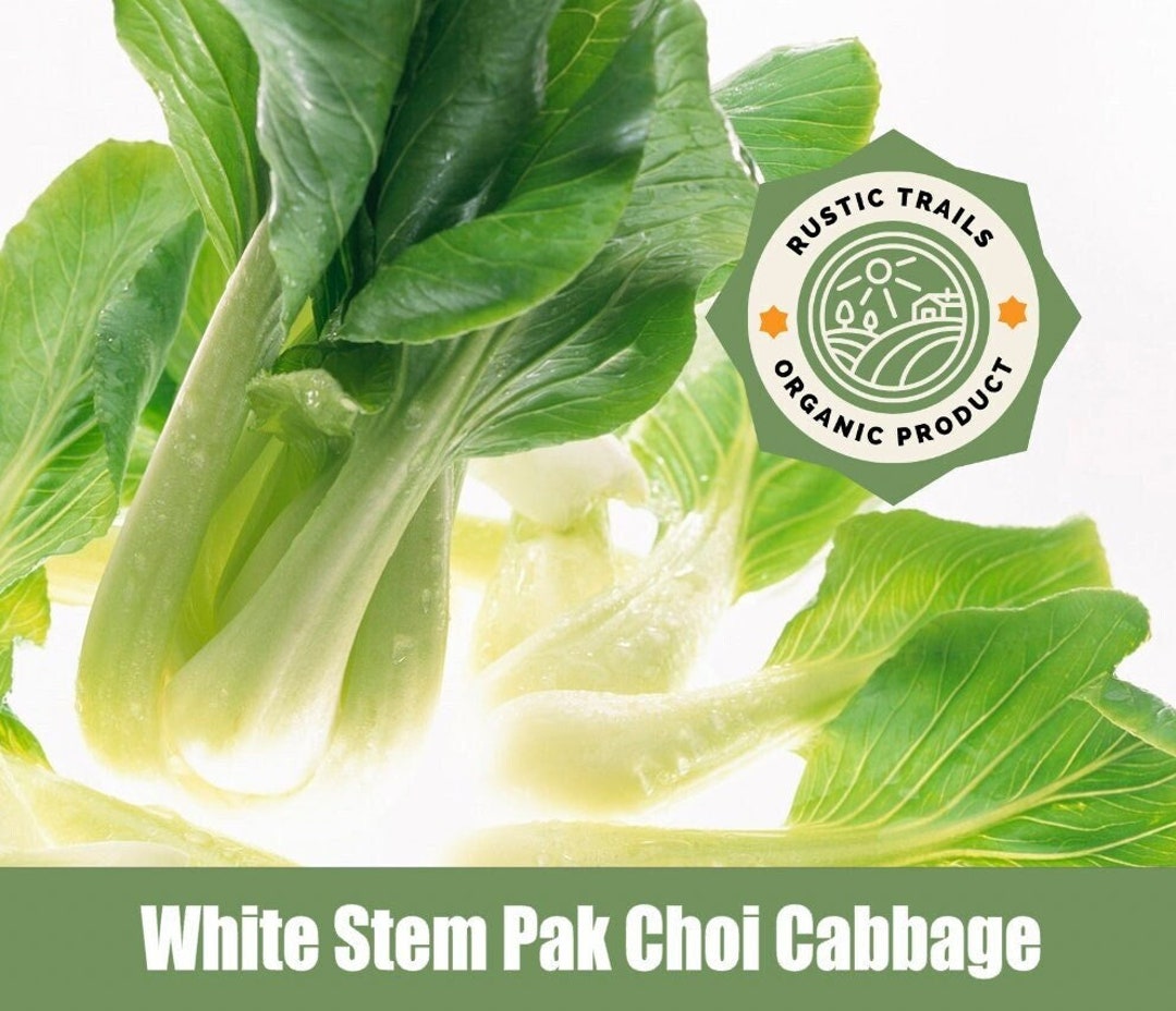 White Stem Pak Choi (bok Choy) Cabbage Organic Heirloom Seeds - Non GMO ...