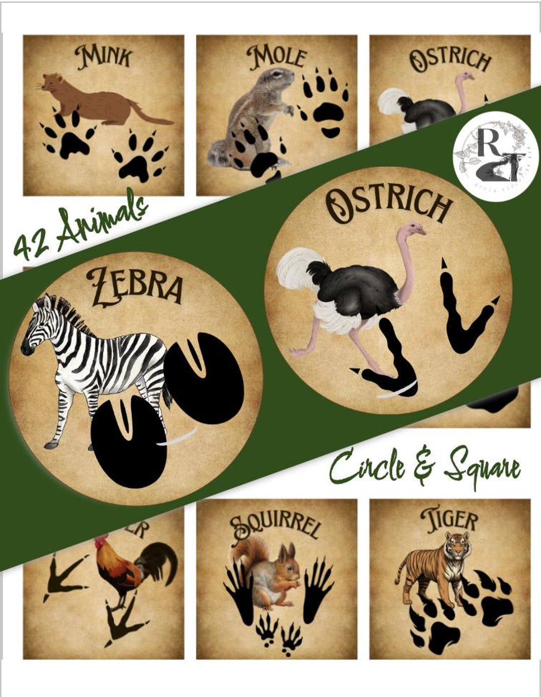 42 Animal Footprint Identification Task Cards Squares and Circles ...
