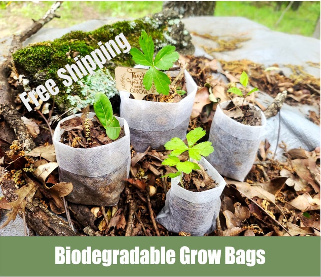 Seedling Pots, Biodegradable Grow Sacks, Seed Starter Pots, Bags, 6 ...