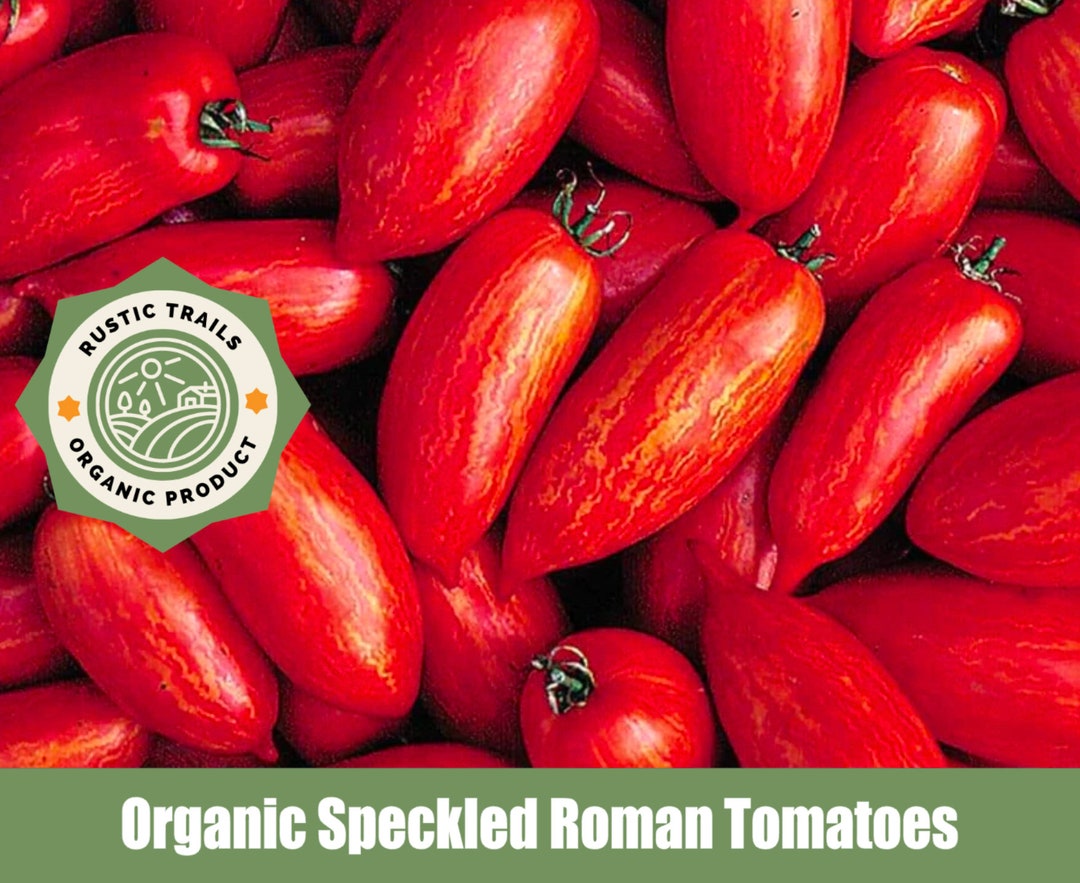 Speckled Roman Organic Tomato Heirloom Seeds - Non GMO - - Etsy