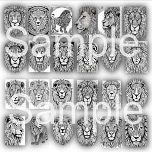 37 Lion Zentangle Coloring Pages 8x11in 500 DPI PNG, Unlimited Physical ...