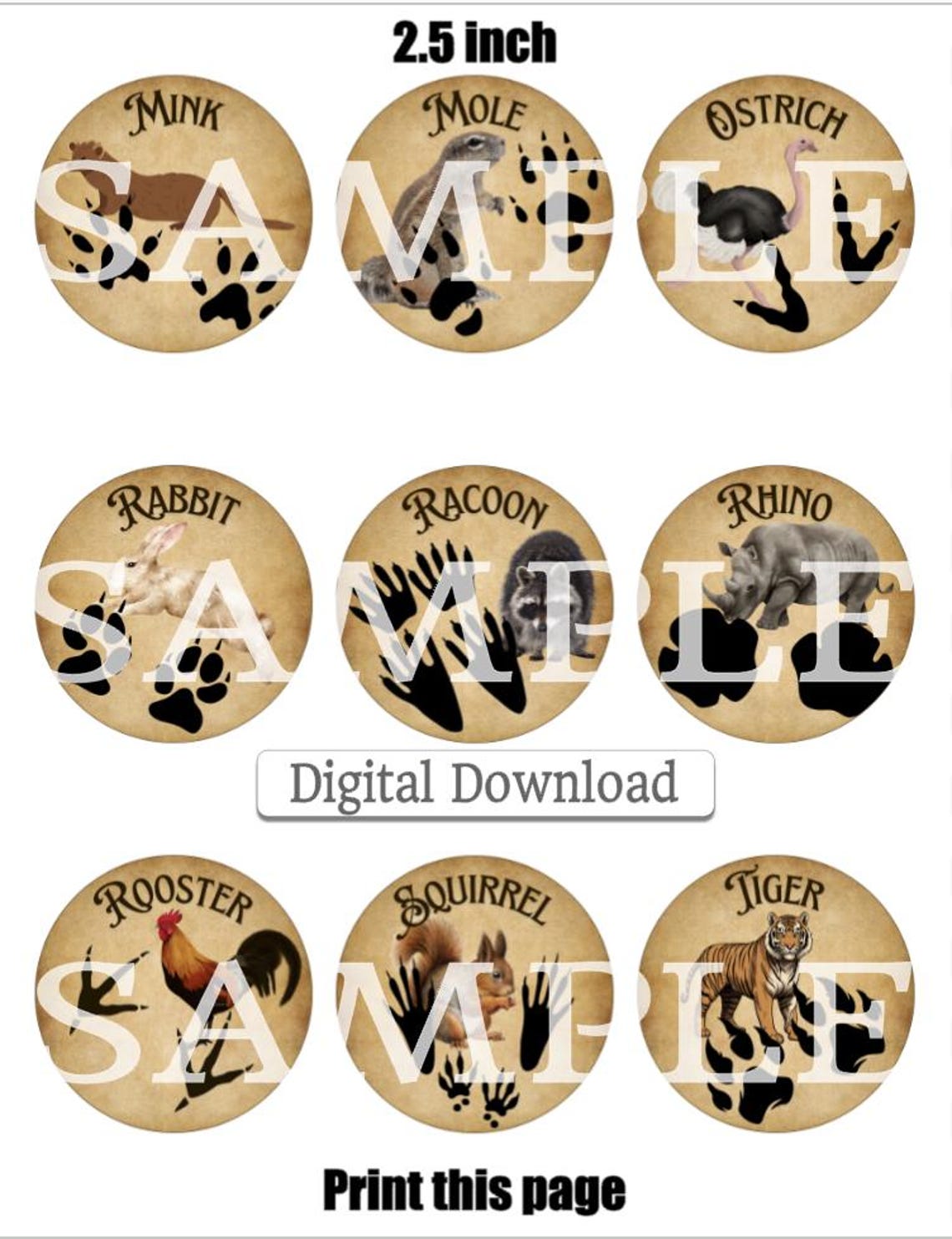 42 Animal Track Identification Task Cards - Squares and Circles ...