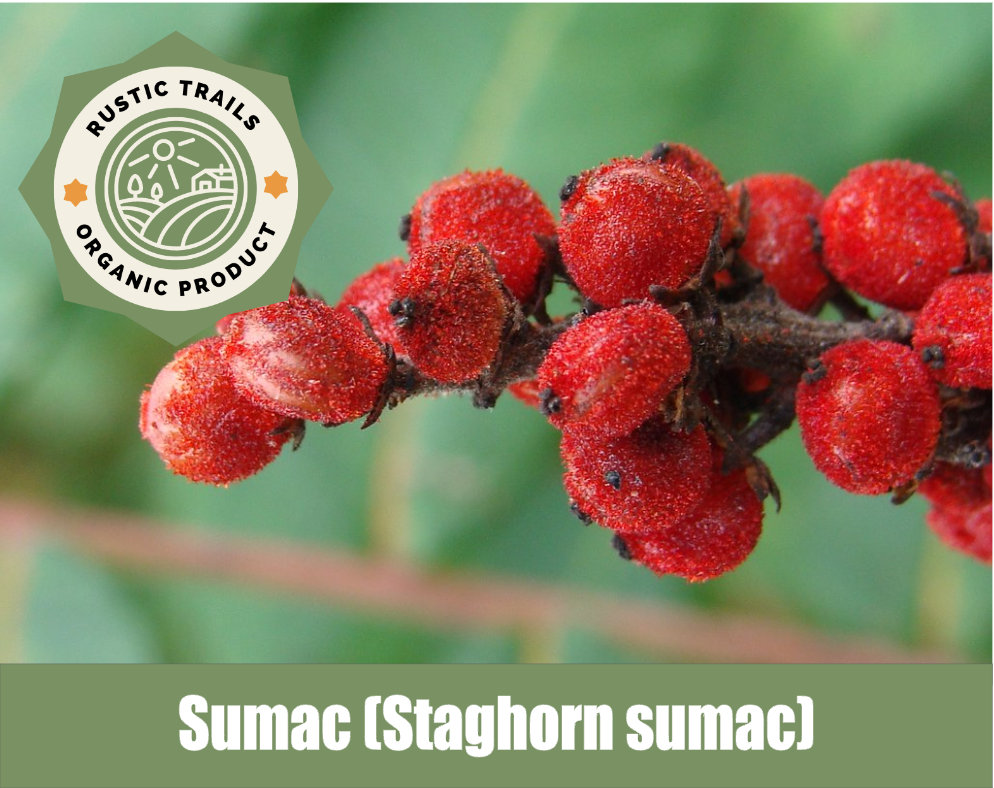 Poison Sumac Berries