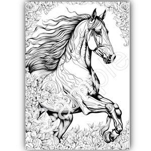 39 Horse Zentangle Coloring Pages 8x11in 500 DPI PNG, Unlimited ...