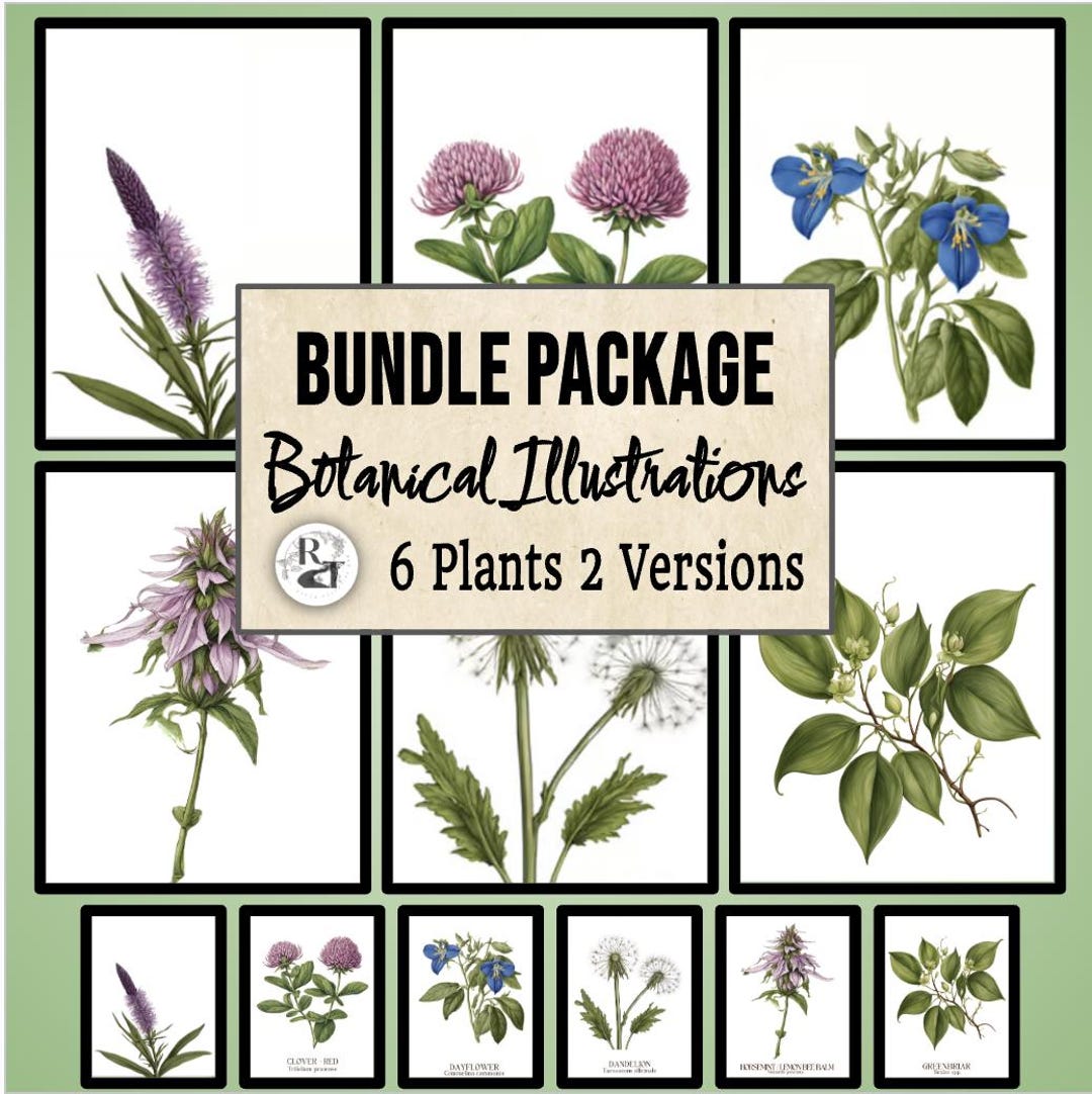 Vintage Style Wildflower Bundle 6 Plants, Print, Digital Vintage ...