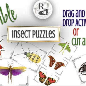57 Printable Insect Puzzle Task Cards Outdoor Education, 3 Versions ...