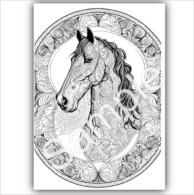 37 Horse Zentangle Coloring Pages 8x11in 500 DPI PNG, Unlimited ...