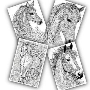 39 Horse Zentangle Coloring Pages 8x11in 500 DPI PNG, Unlimited ...
