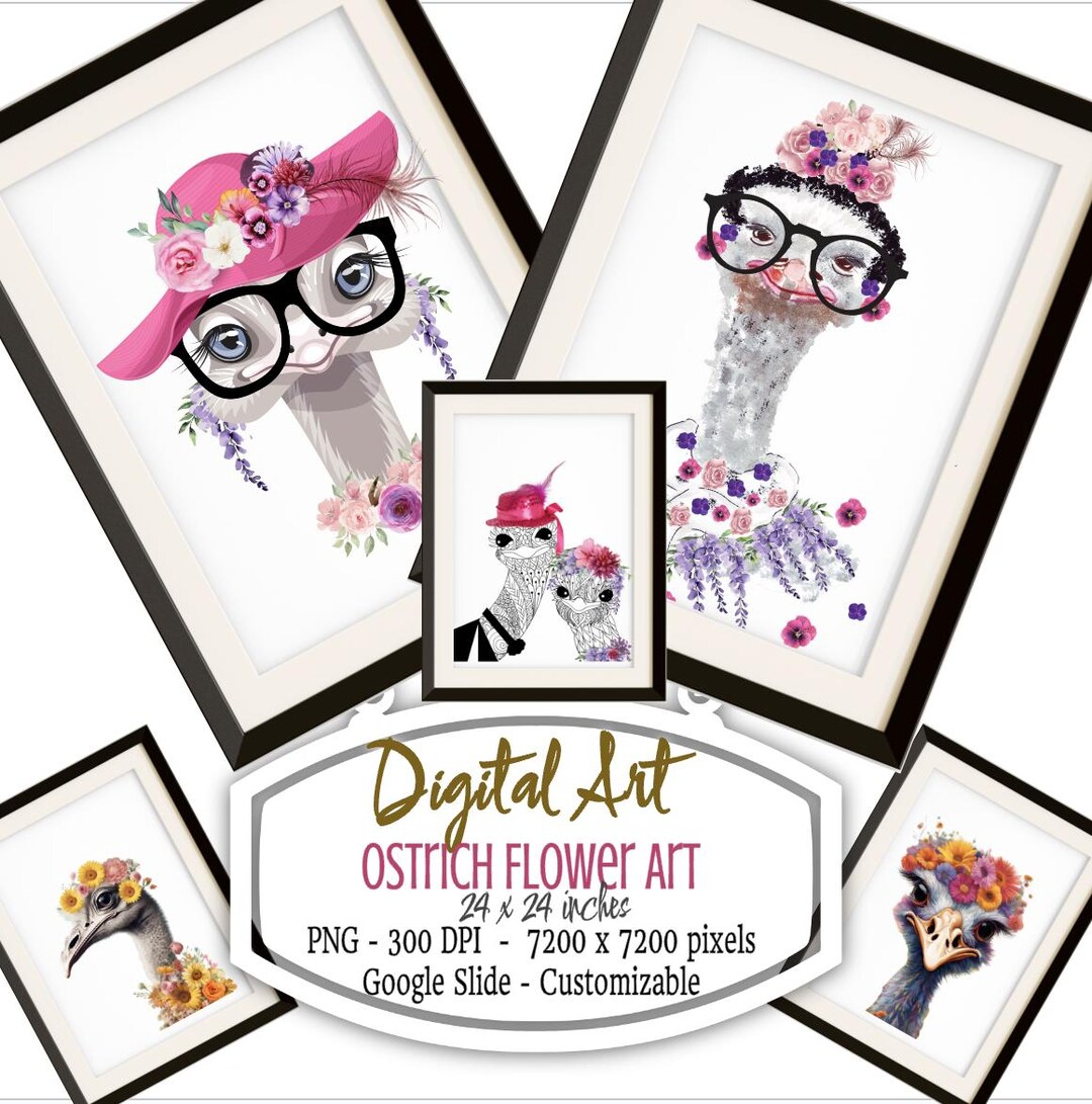 Flower Art Ostrich Designs - 24x24 in - Download 300 DPI PNG, 7200x7200 ...