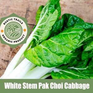 White Stem Pak Choi (bok Choy) Cabbage Organic Heirloom Seeds - Non GMO ...