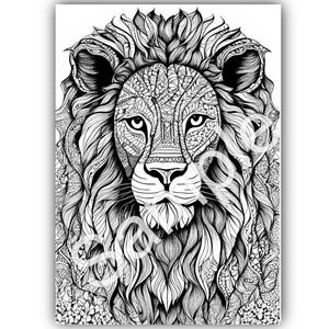 37 Lion Zentangle Coloring Pages 8x11in 500 DPI PNG, Unlimited Physical ...