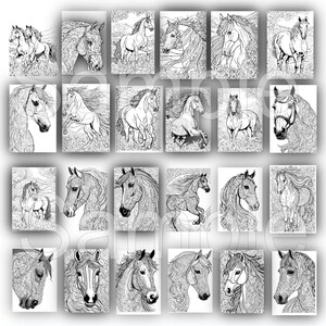 39 Horse Zentangle Coloring Pages 8x11in 500 DPI PNG, Unlimited ...