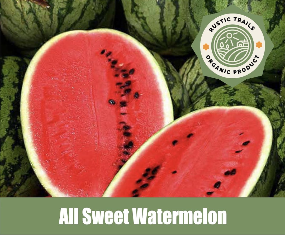 All Sweet Watermelon - Heirloom Non GMO Seeds - Fresh USA Grown Seeds ...