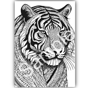 32 Tiger Zentangle Coloring Pages 8x11in 500 DPI PNG, Unlimited ...