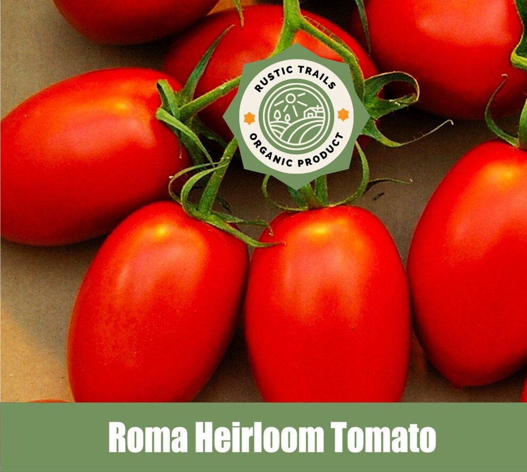 Roma Heirloom Tomato- Organic Heirloom Seeds - Non GMO - Grow Your Own ...