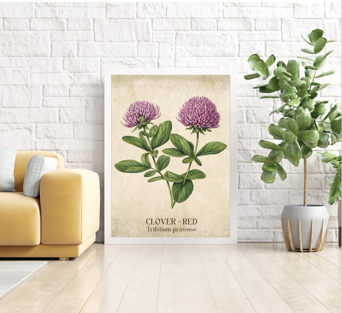 Vintage Style Wildflower Red Clover Botanical Print, Digital Vintage ...