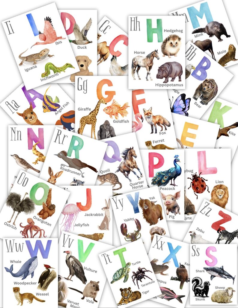 Printable ABC Animal Alphabet Flash Cards - Etsy