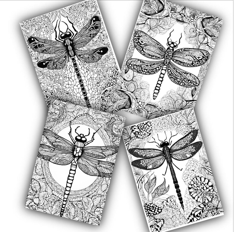 55 Dragonfly Zentangle Coloring Pages Version 2 8x11in 500 DPI PNG ...