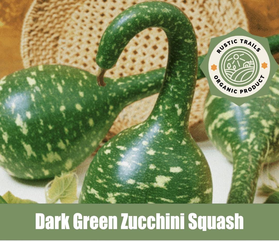 Organic Speckled Swan Gourd, Heirloom Seeds Non GMO - Etsy