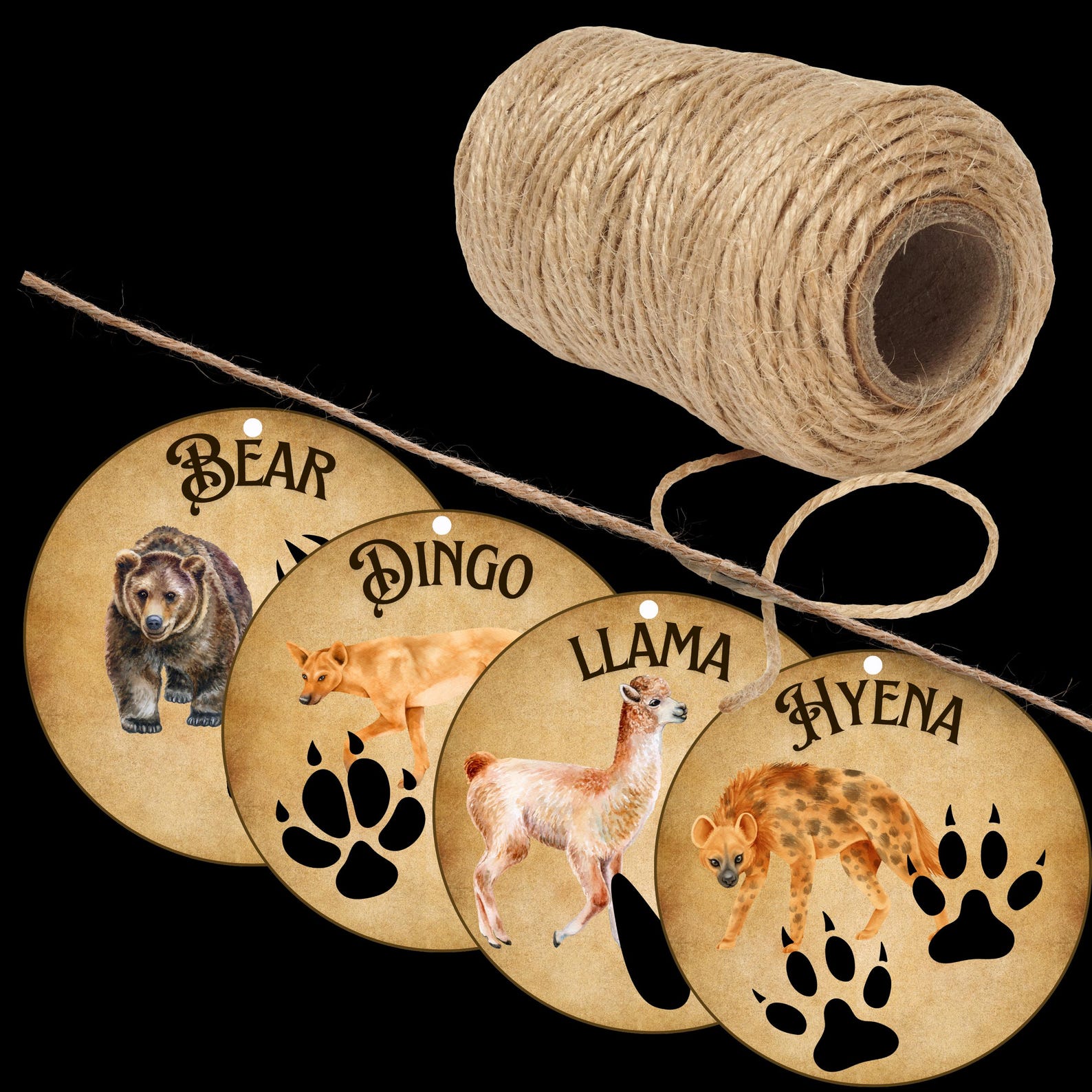 Animal Track Identification Cards – Nature Education Printable (digital ...