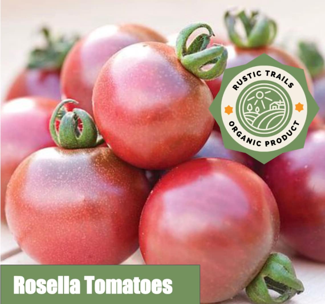 Rosella Organic Tomato Heirloom Seeds Non GMO - Etsy