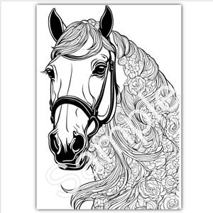 39 Horse Zentangle Coloring Pages 8x11in 500 DPI PNG, Unlimited ...