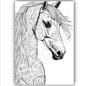 39 Horse Zentangle Coloring Pages 8x11in 500 DPI PNG, Unlimited ...