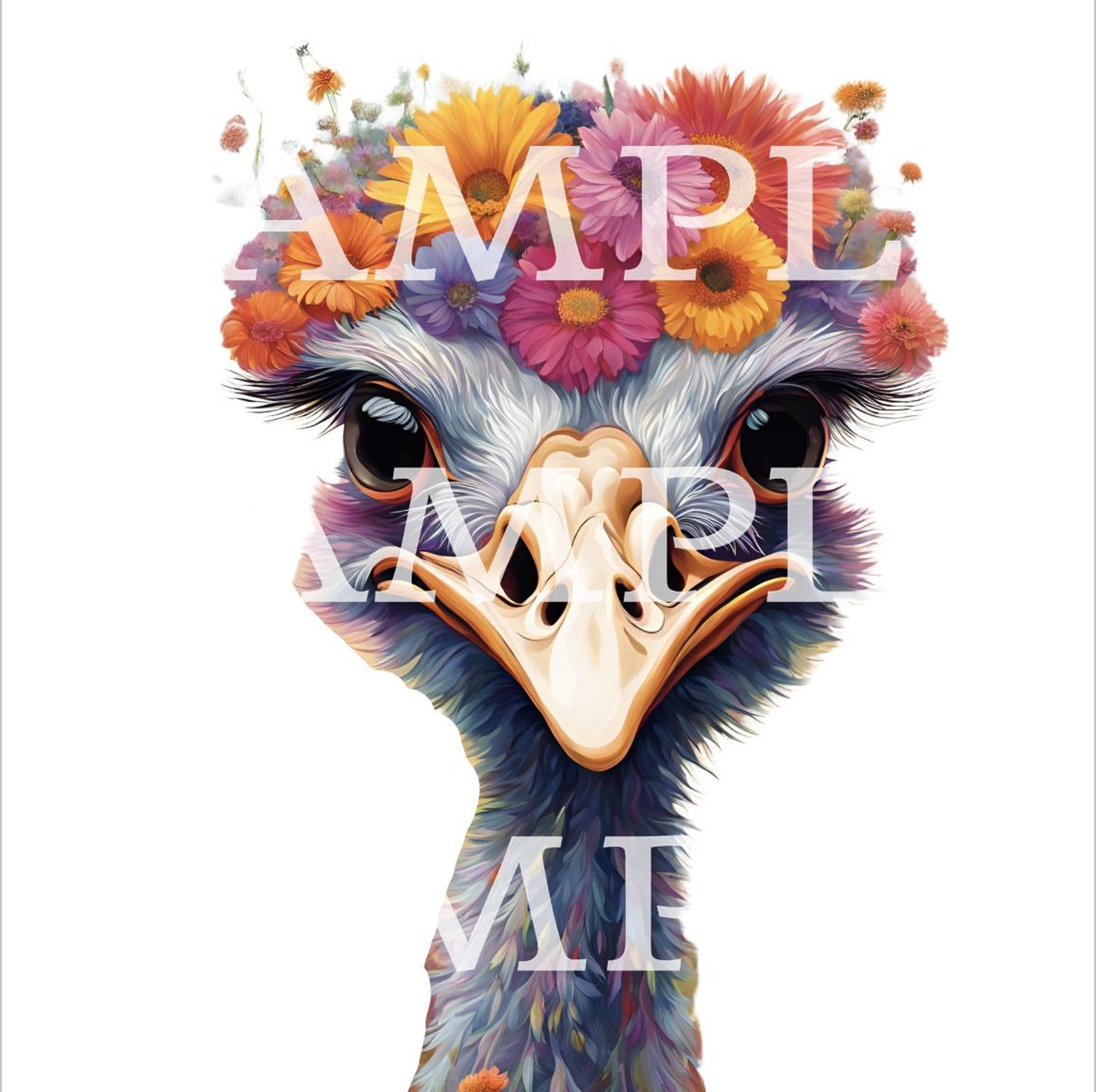 Flower Art Ostrich Designs - 24x24 in - Download 300 DPI PNG, 7200x7200 ...