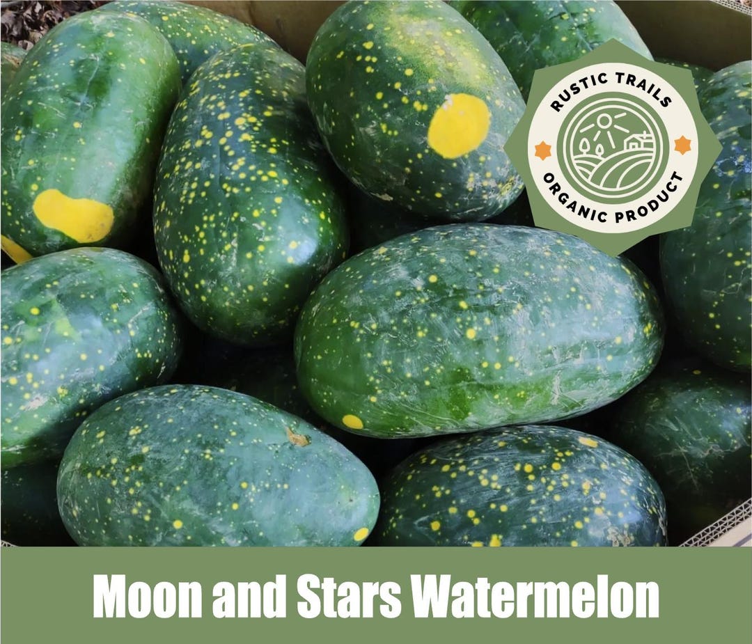 Moon and Stars Watermelon - Heirloom Non GMO Seeds - Fresh USA Grown ...