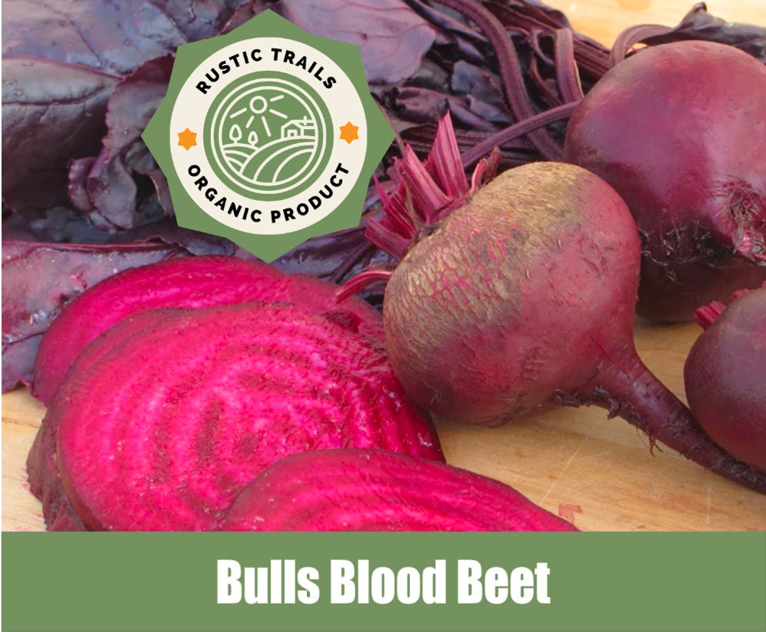 Bulls Blood Dark Red Beet Seeds to Plant - Organic- None GMO - Heirloom ...