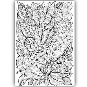 21 Fall Zentangle Designs Coloring Pages 8x11in 500 DPI PNG, Unlimited ...
